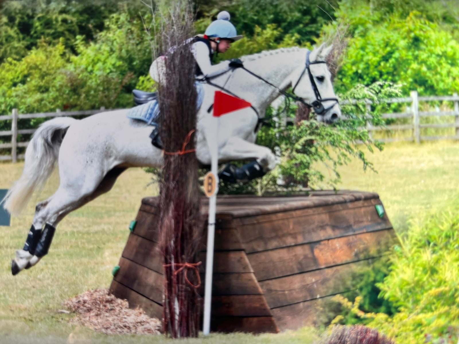 Moonshine Melody | Project Pony