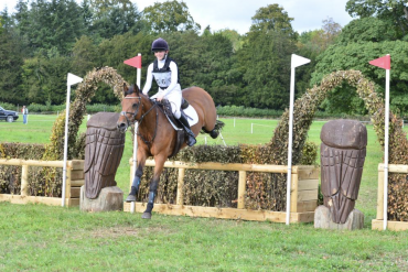 Our Ponies | Project Pony