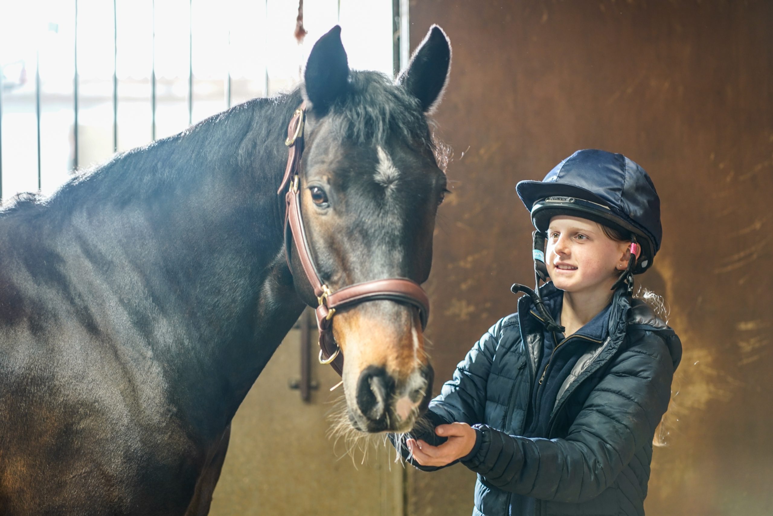 Akim De L'Arquerie | Project Pony