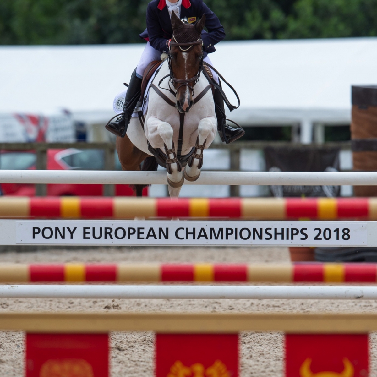 Pony Eventing | Project Pony