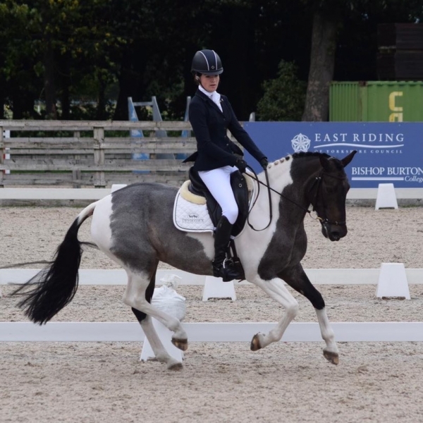 Lookout Lollypop | Project Pony