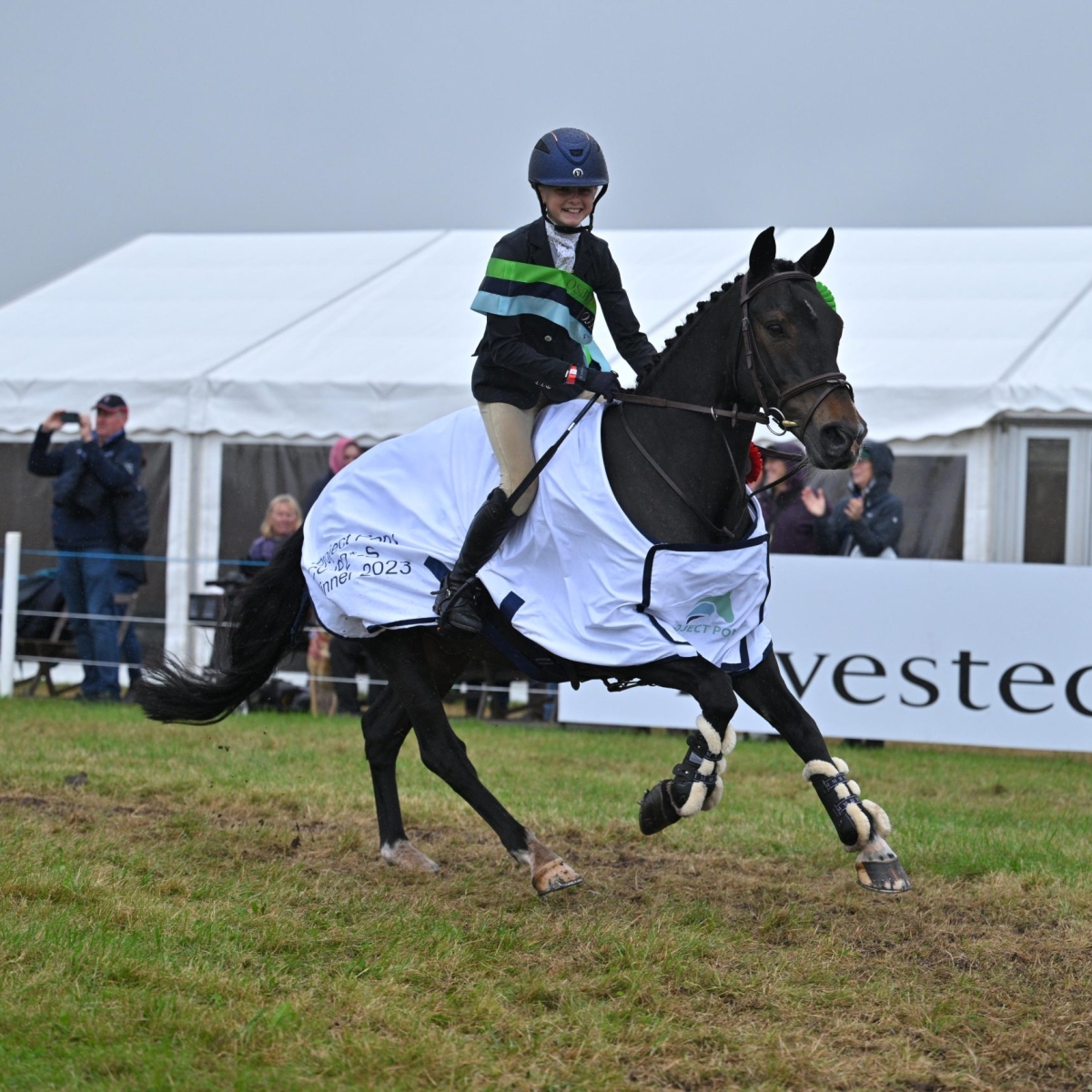 Akim De L'Arquerie | Project Pony