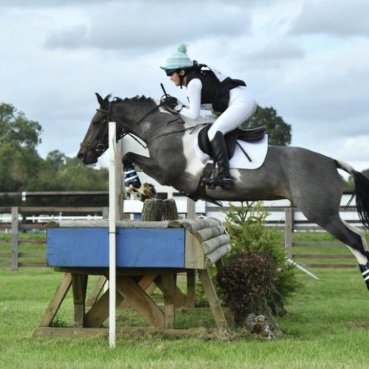 Lookout Lollypop | Project Pony