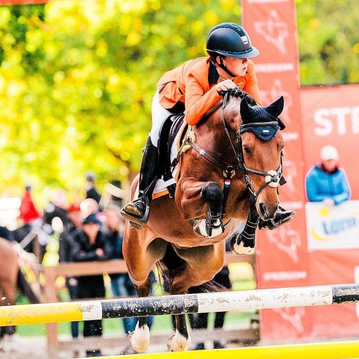 Limited Edition | Project Pony